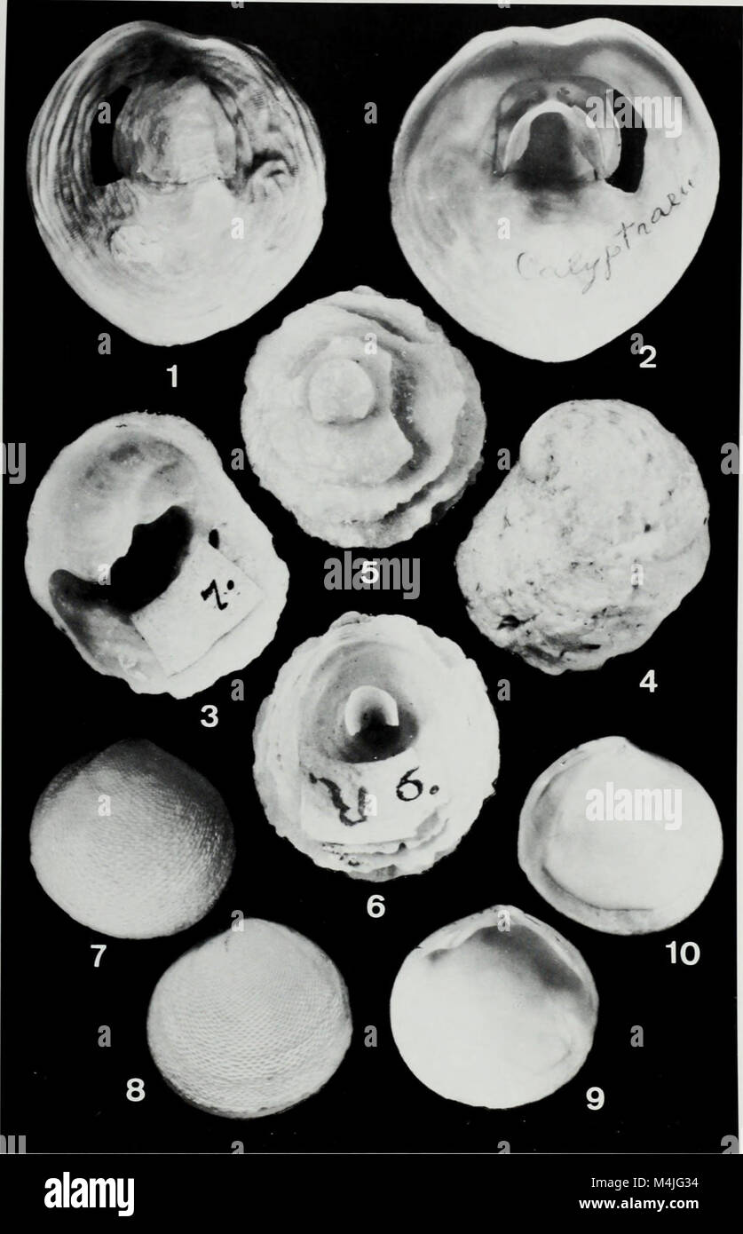 Apex (1993) is a science fiction film directed by Terry Cunningham. Set ...