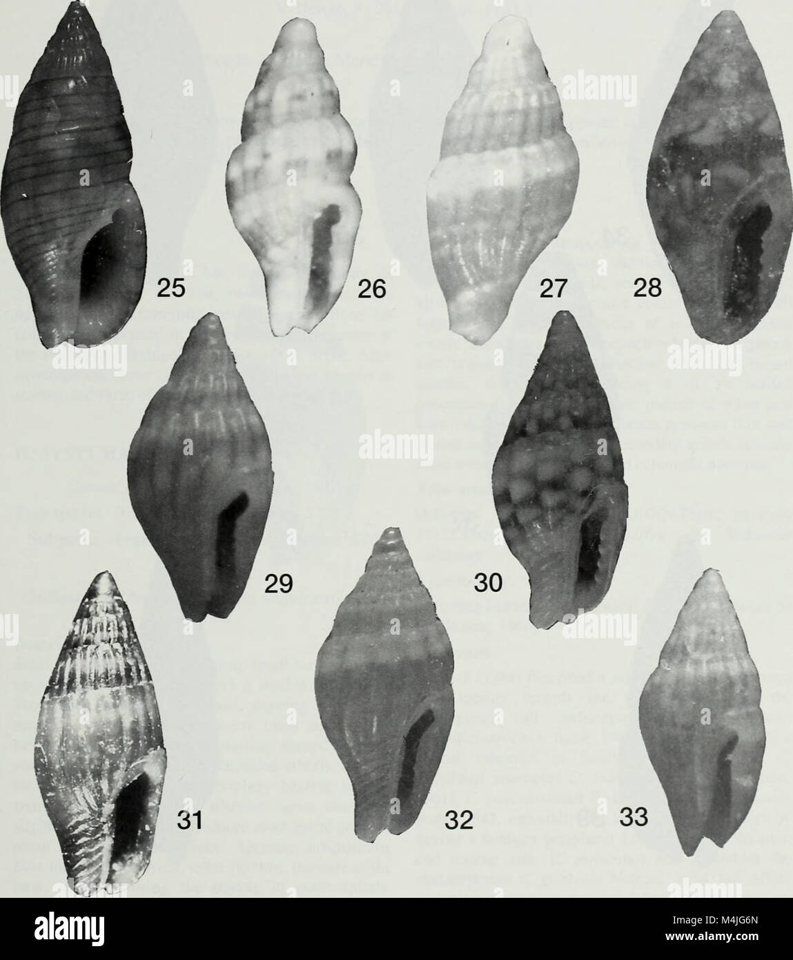 Humans vs ai hi-res stock photography and images - Alamy
