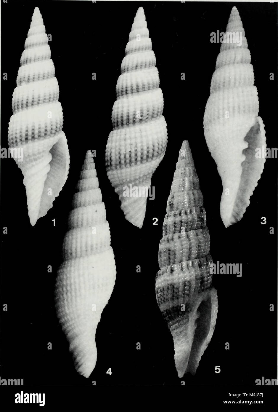 *Apex* (1997) is a science fiction action film, set in a future world ...