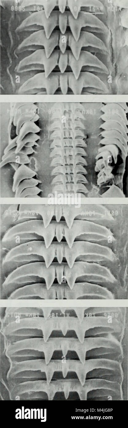 High performance computing technologies hi-res stock photography and ...