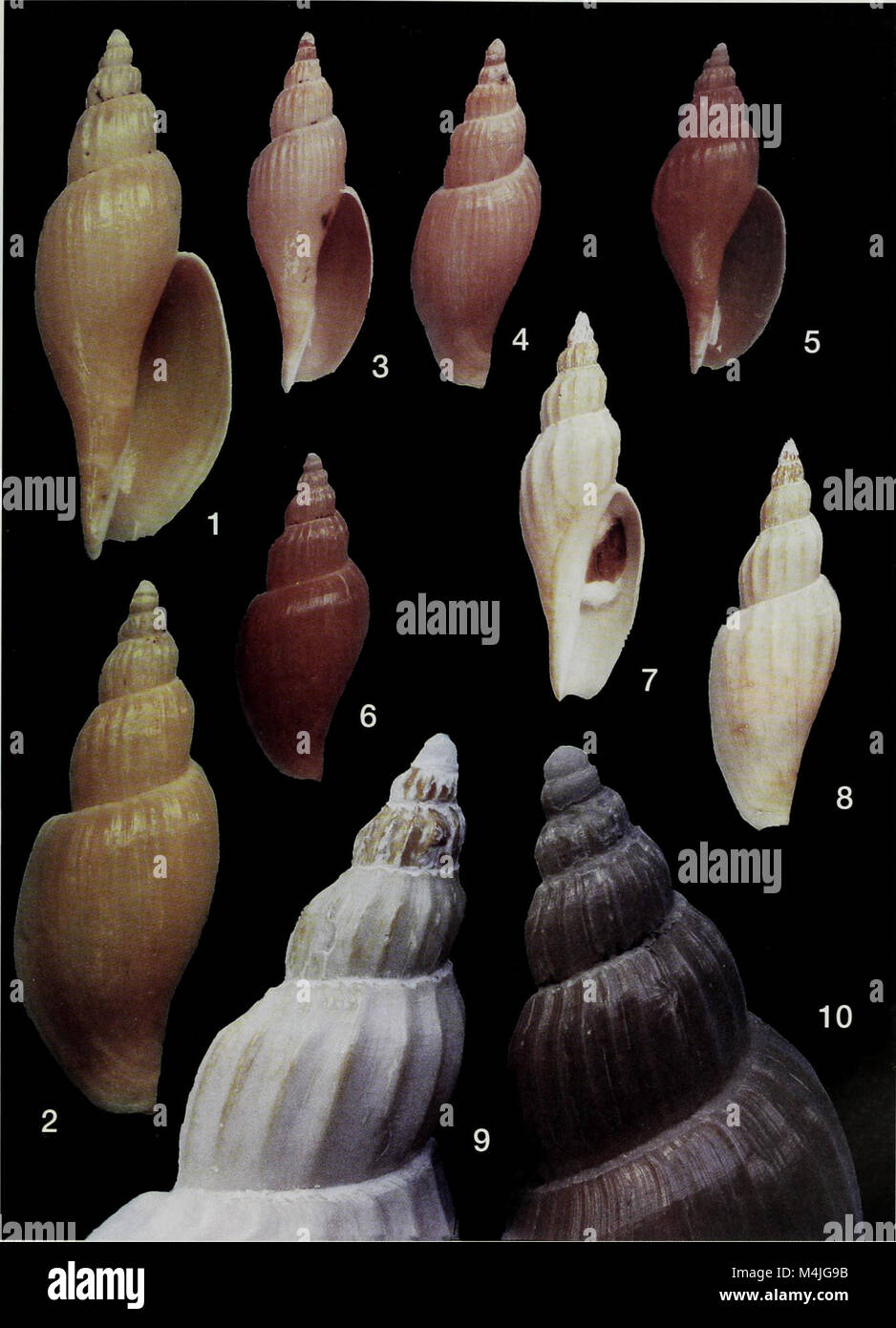 Apex (1999) is a science fiction film that explores themes of human ...