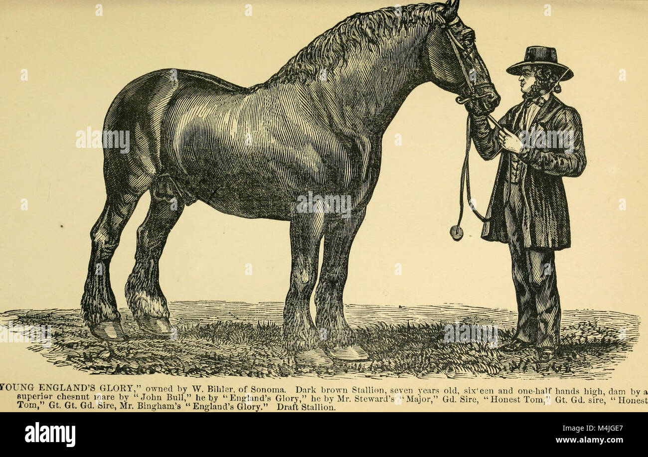 The 1860 Appendix to the Journals of the Senate and Assembly of the ...