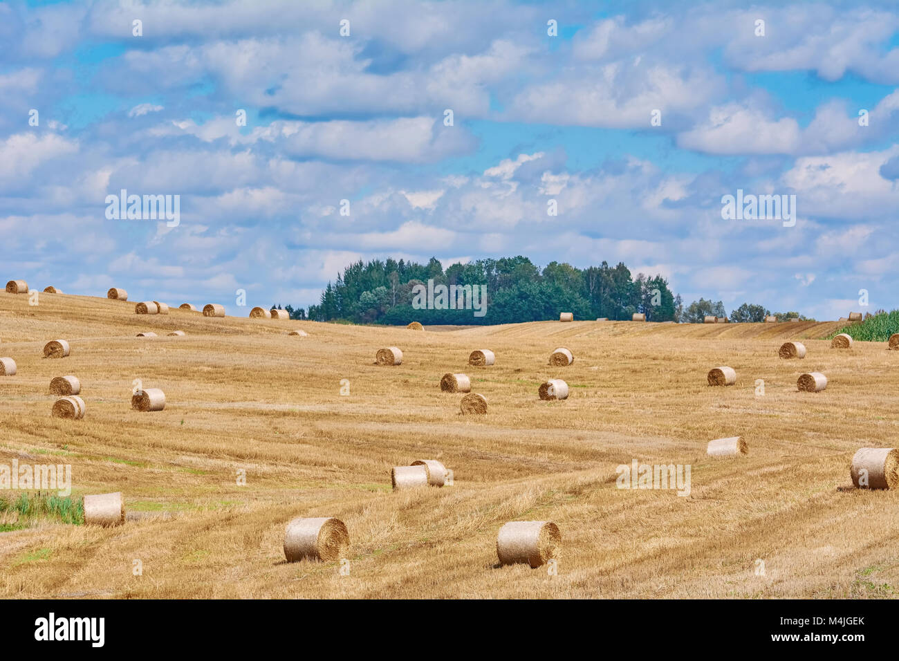 Thatched haystacks hi-res stock photography and images - Alamy