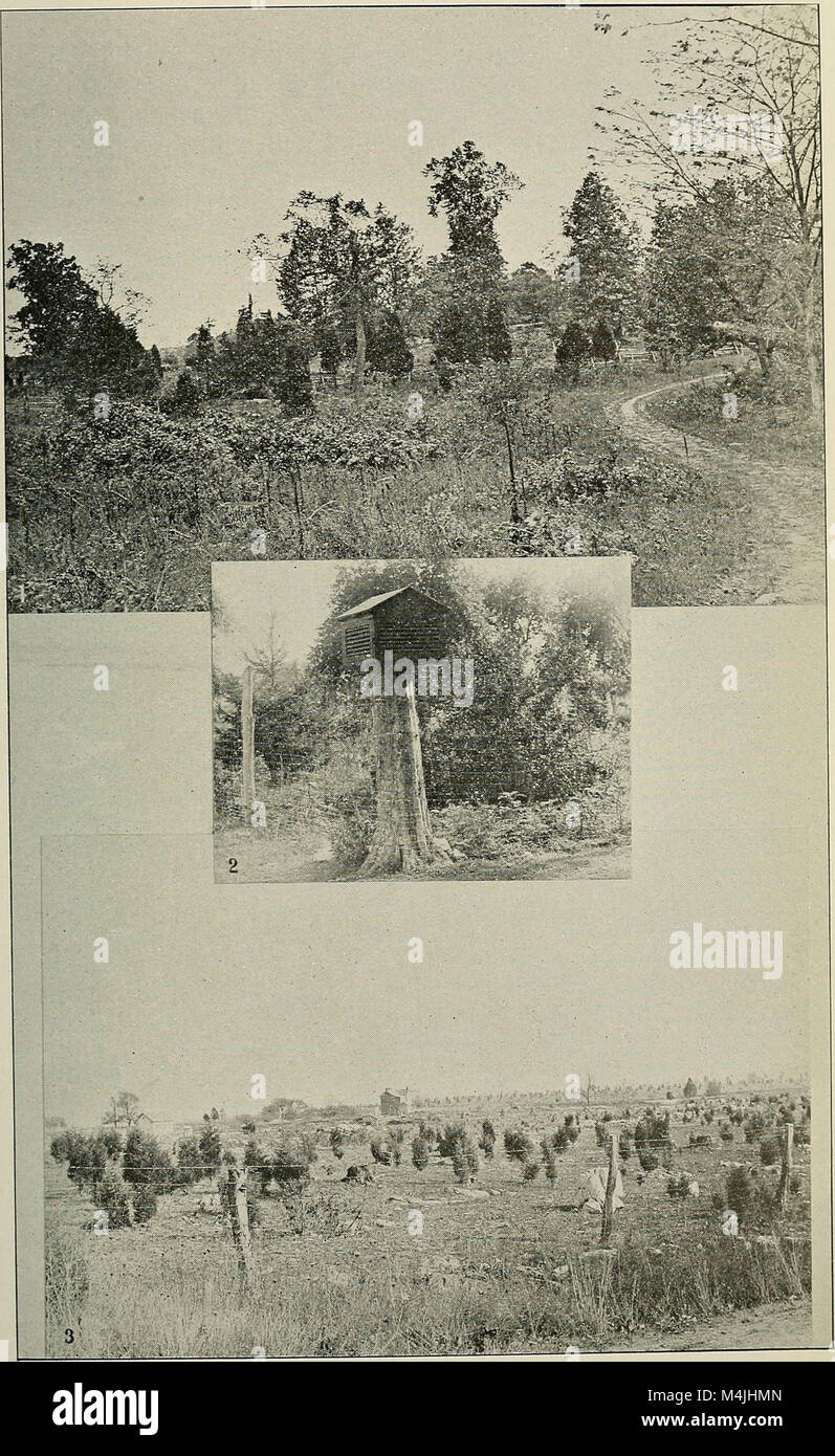 The 1915 report on apple rust focuses on the identification, causes ...