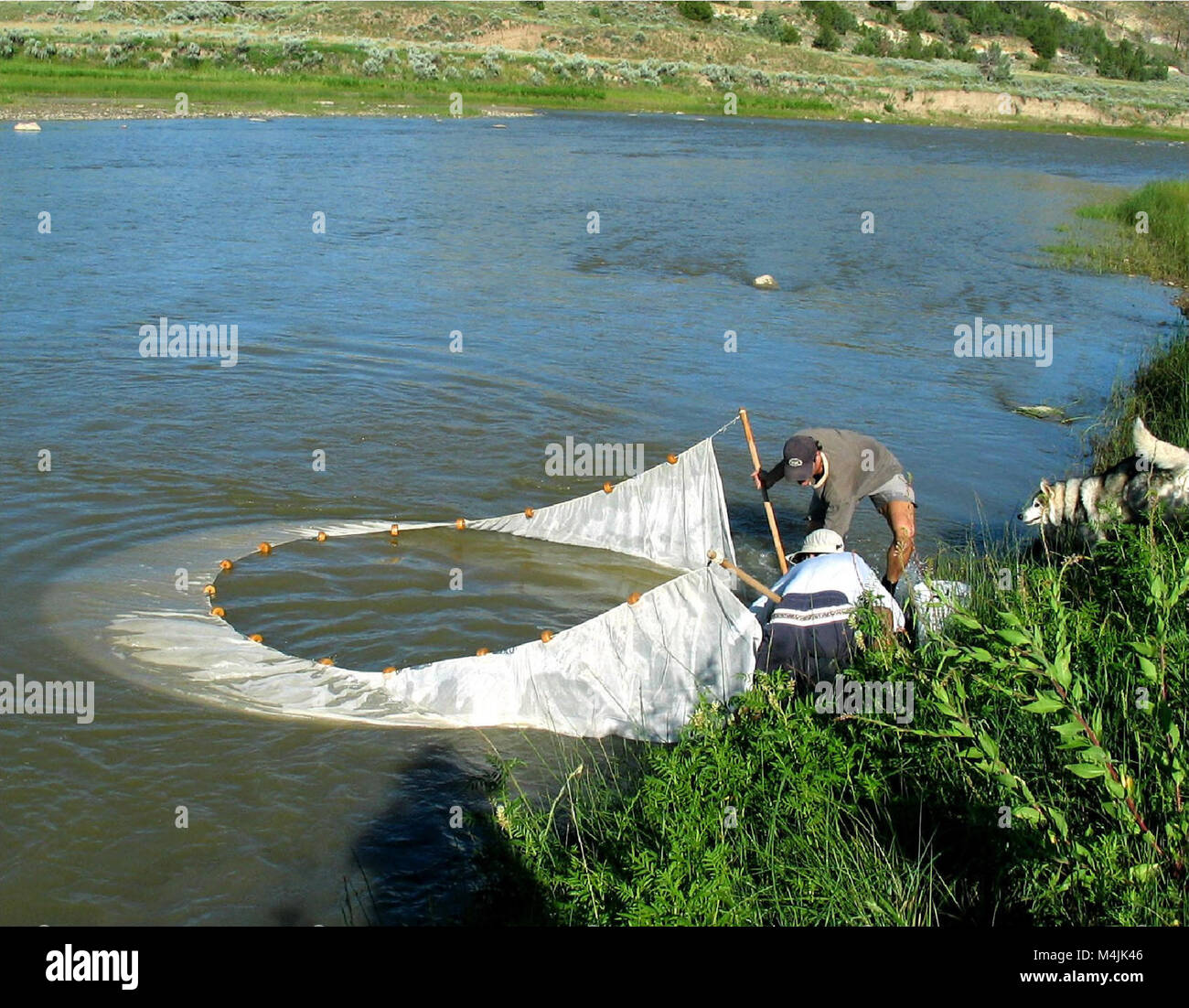 This 2005 study focuses on the classification of aquatic communities ...
