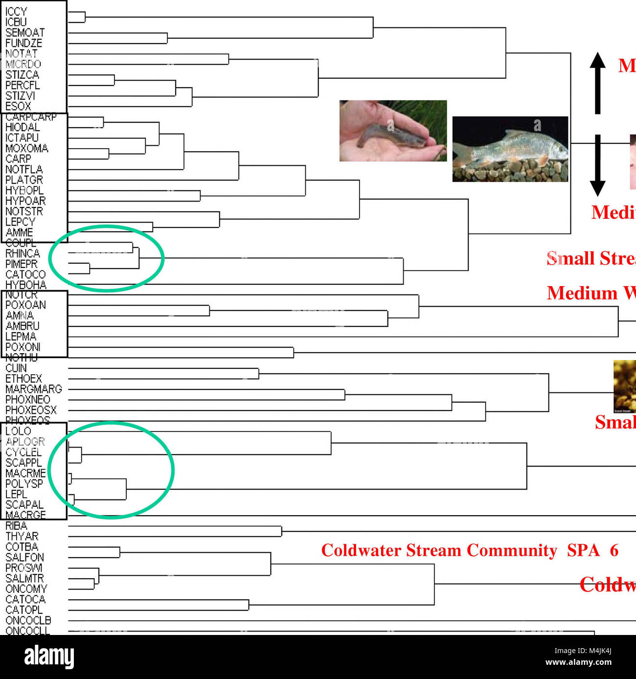 Aquatic community classification and ecosystem diversity in Montana's ...
