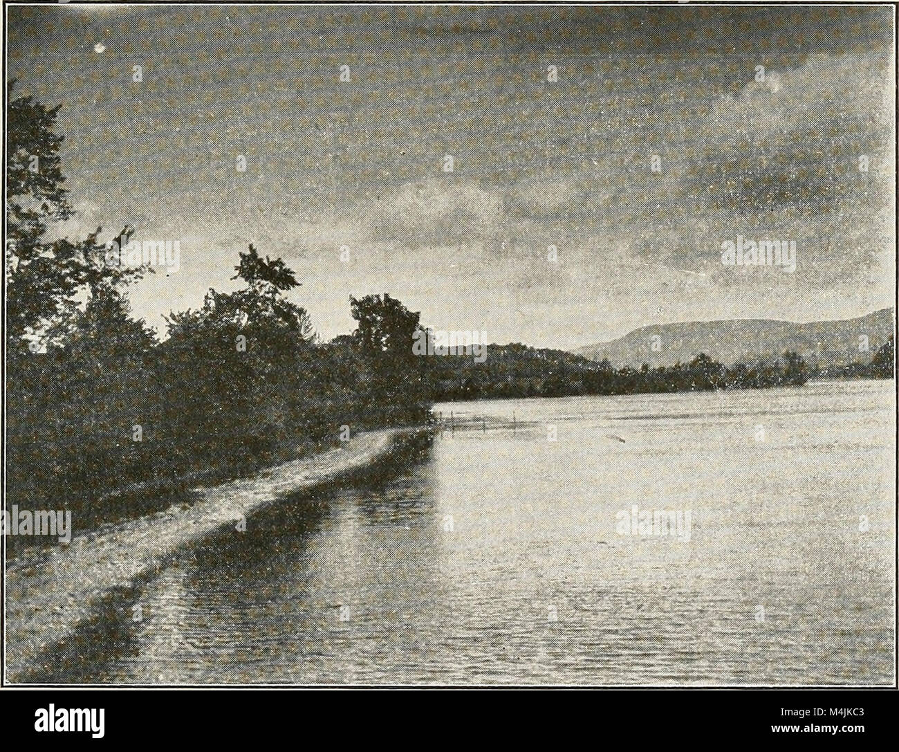 The 'Aquatic Life' journal (1916-1917) offers a comprehensive look at ...
