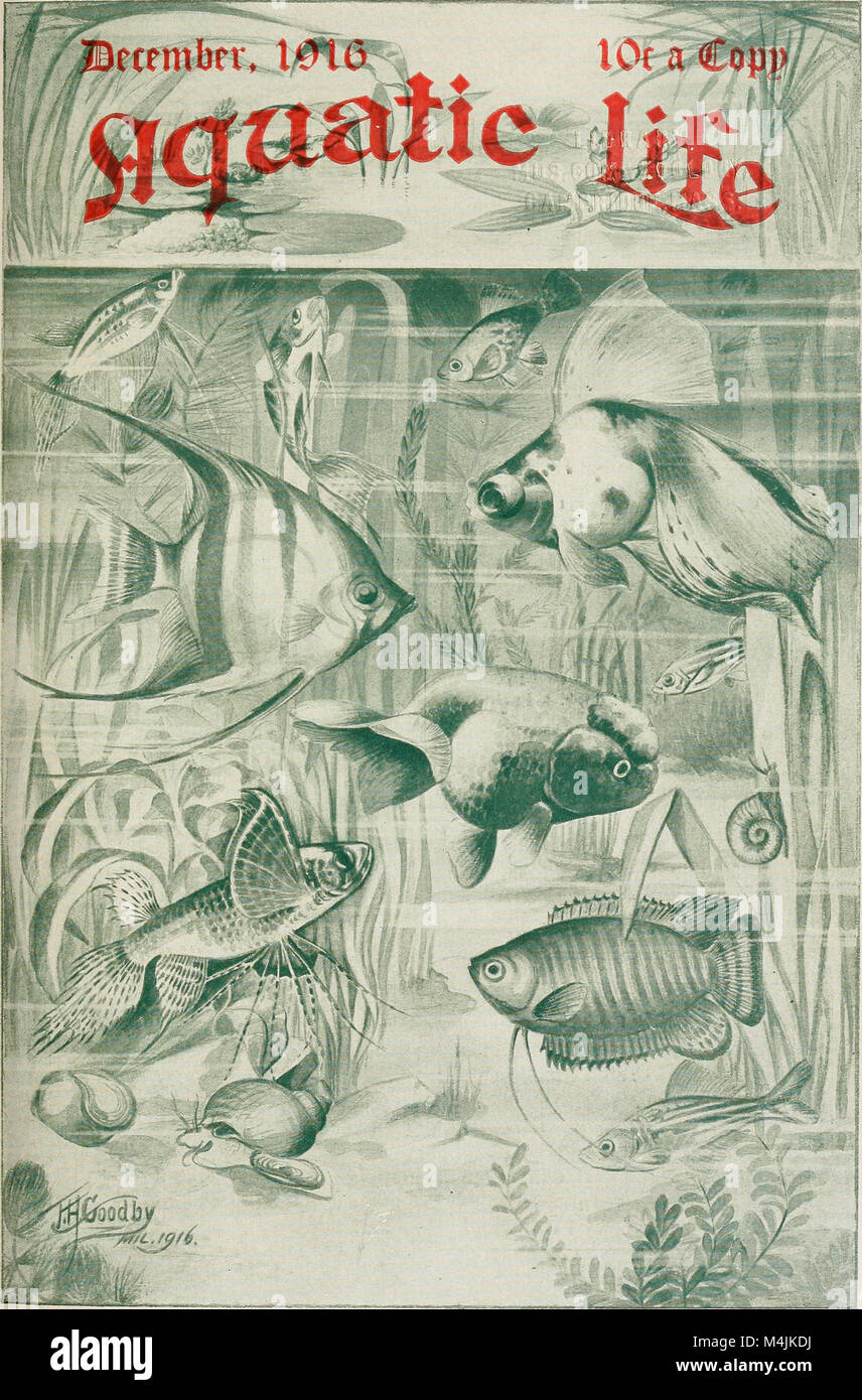 A comprehensive overview of aquatic life from 1916-1917, exploring the ...