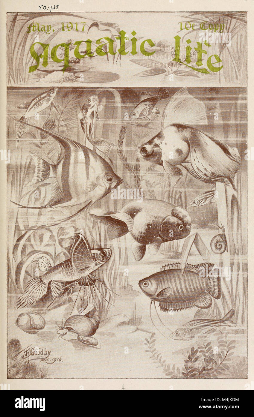 *Aquatic Life* (1916-1917) focuses on marine and freshwater ecosystems ...