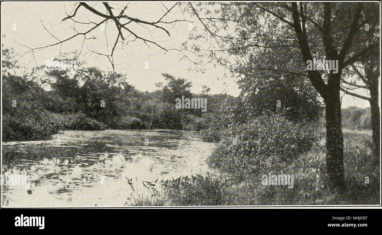 'Aquatic Life' (1916-1917) is a journal focusing on the study of ...