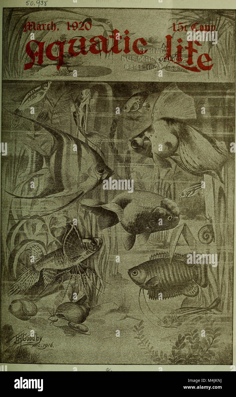 Aquatic Life, published in 1920, explores the diverse ecosystems of ...