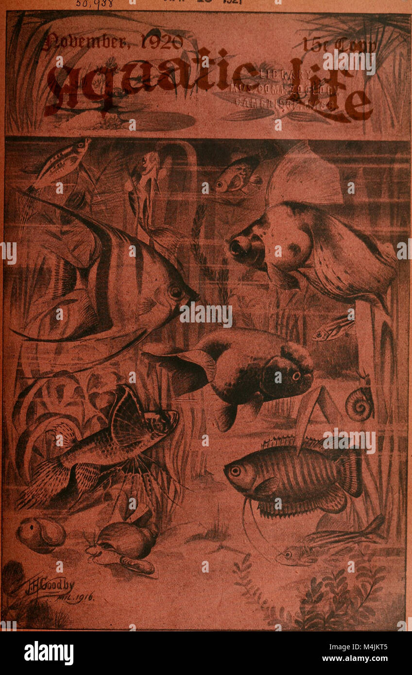 'Aquatic Life' (1920) focuses on the ecosystems of aquatic environments ...