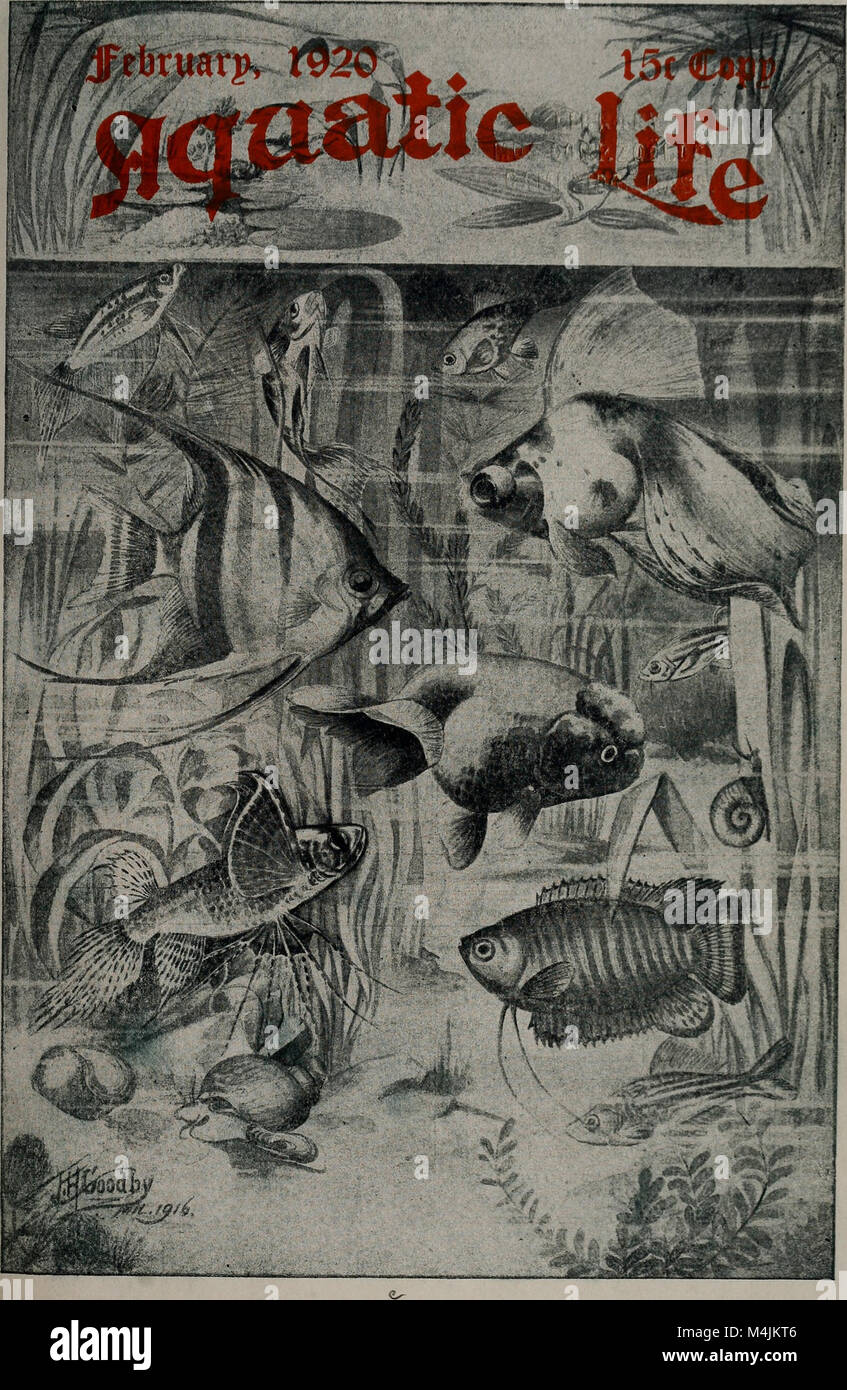 *Aquatic Life*, published in 1920, provides a comprehensive overview of ...