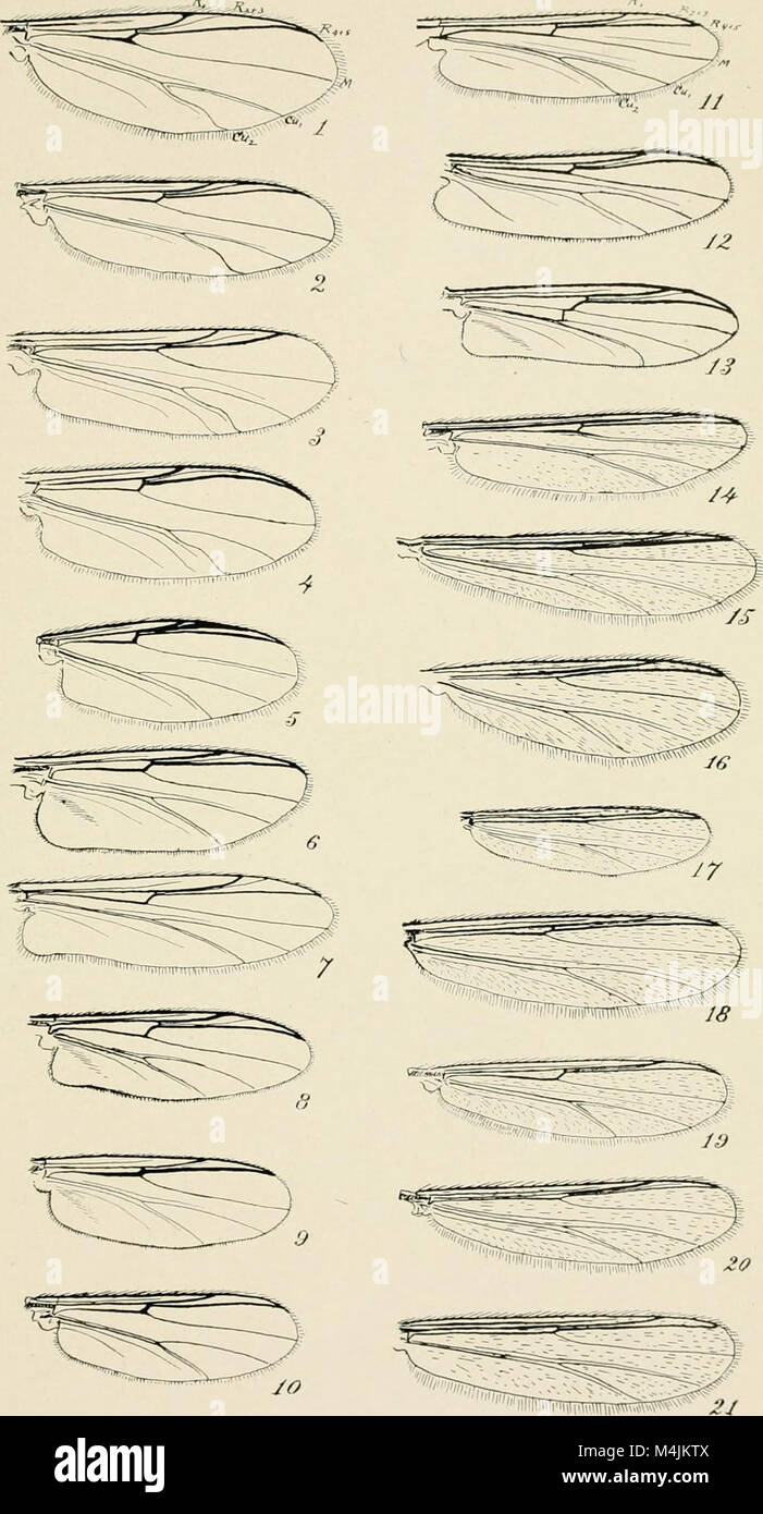 This work, *Aquatic Nematocerous Diptera* (1903), focuses on the study ...