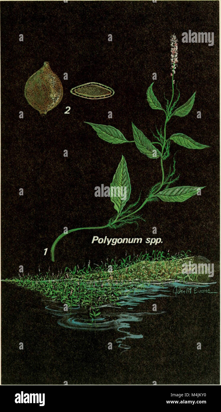 Aquatic pests on irrigation systems - identification guide (1980 ...