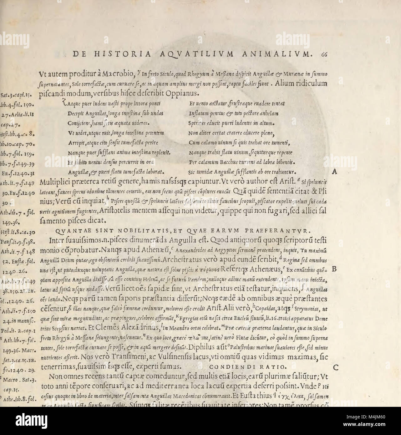 Aquatilium animalium historiae, liber primus - cum eorumdem formis ...