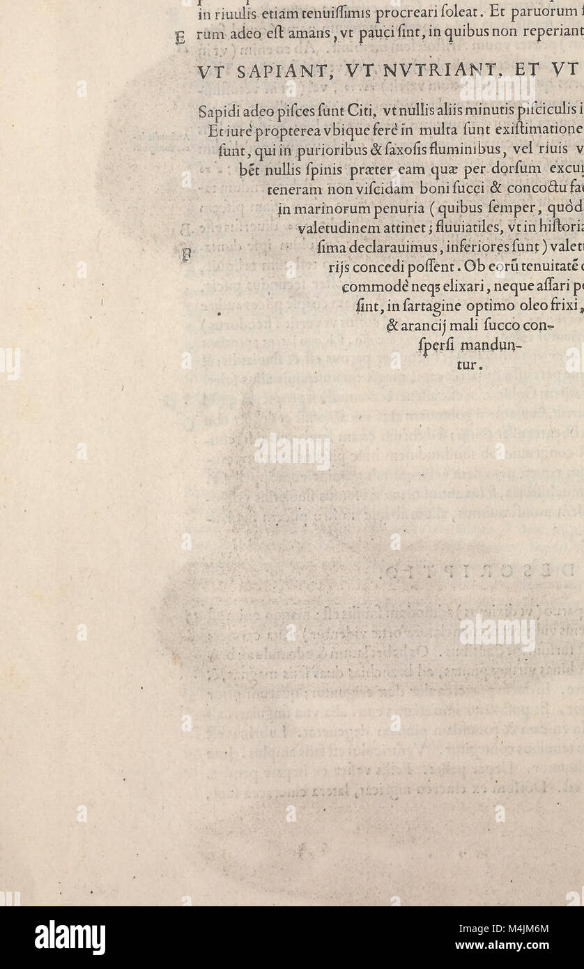 Aquatilium animalium historiae, liber primus - cum eorumdem formis ...
