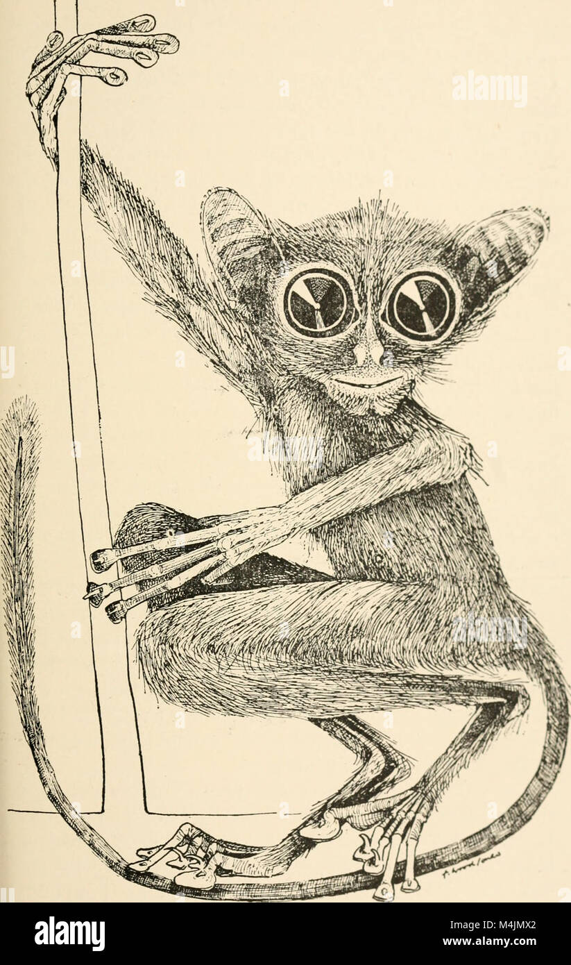 'Arboreal Man' (1916) explores the relationship between humans and ...