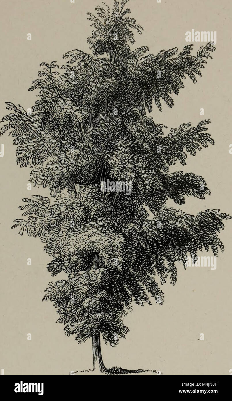 This work details the trees and shrubs of Britain, both native and ...