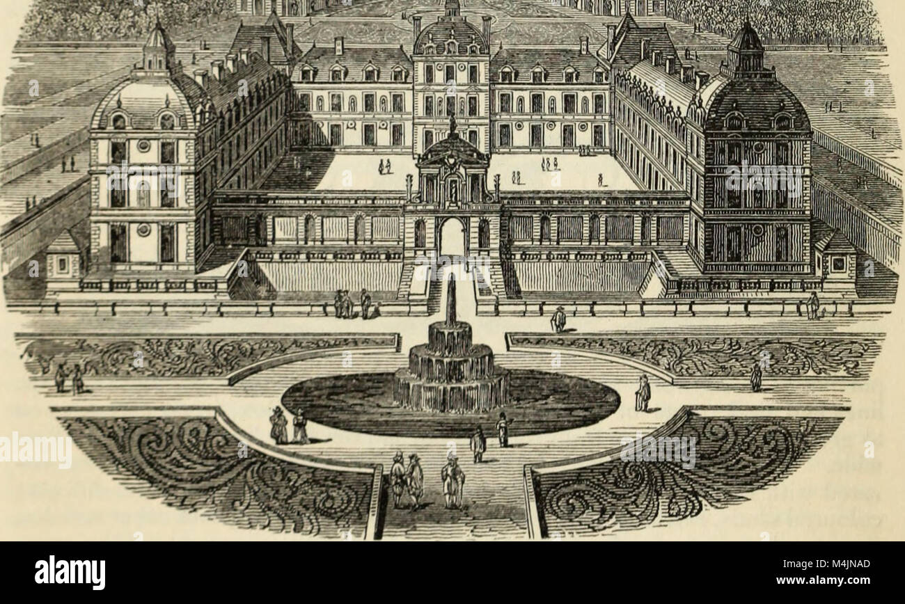 This comprehensive guide to British trees and shrubs features both ...