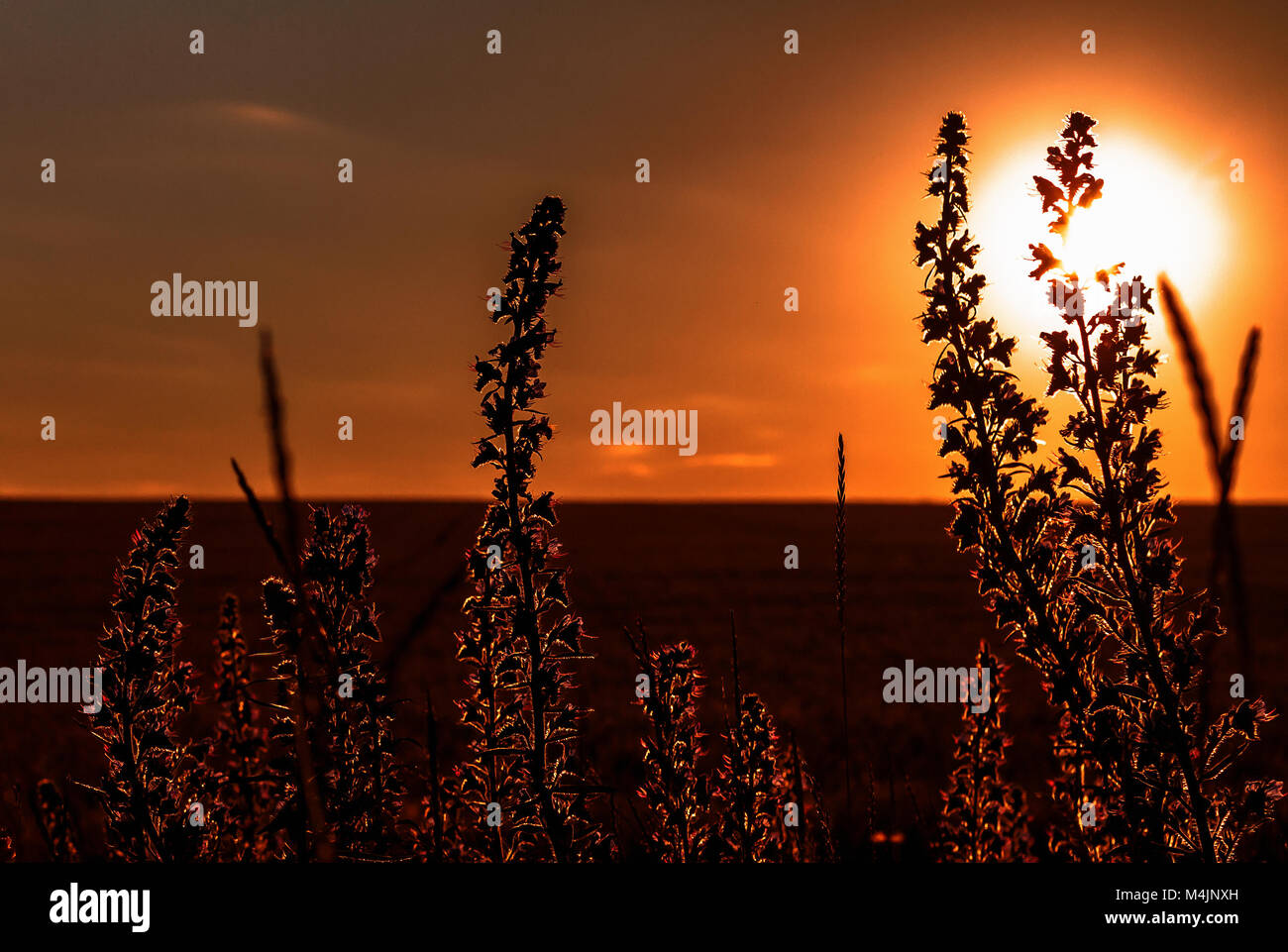 Dull evening hi-res stock photography and images - Alamy