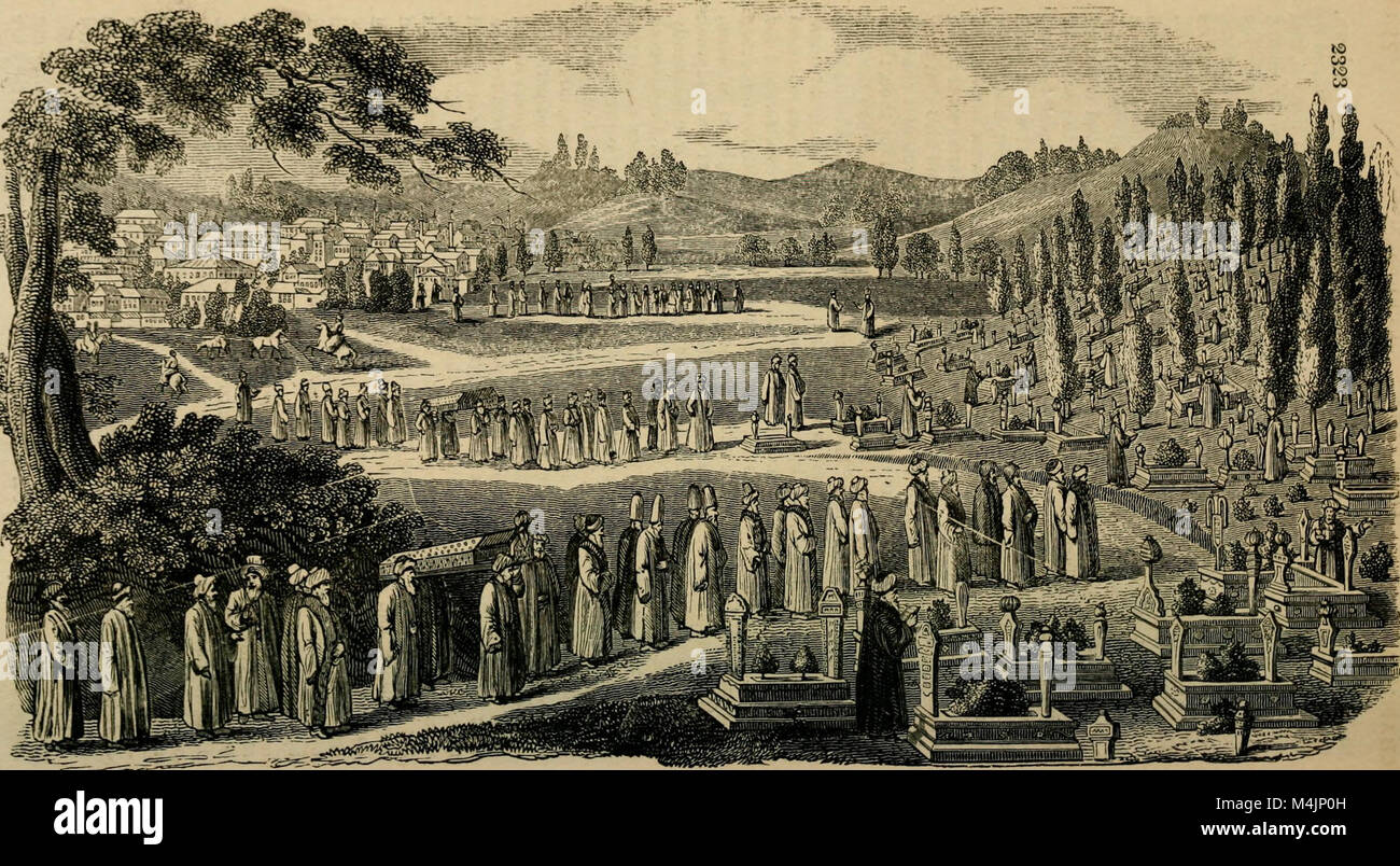 This extensive work provides detailed descriptions and illustrations of ...