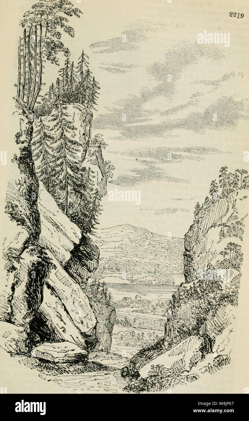 This 1975 work offers a comprehensive guide to the trees and shrubs of ...