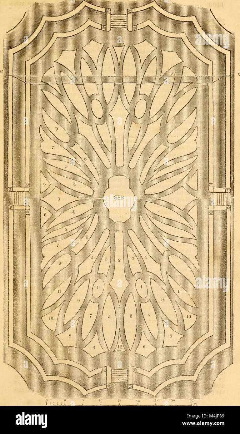 This work details the trees and shrubs of Britain, both native and non ...
