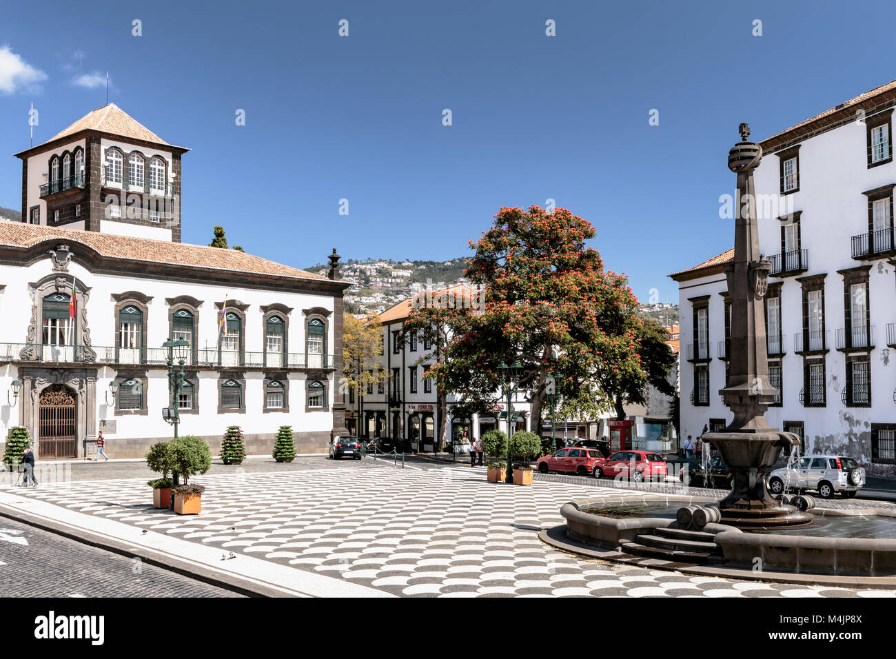 Funchal - Town hall square - Madeira Stock Photo - Alamy