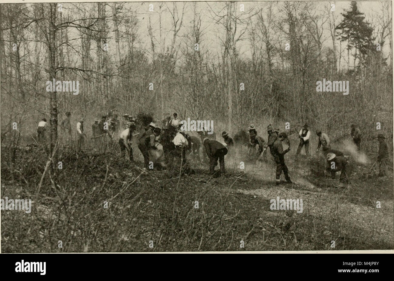 Fire beaters hi-res stock photography and images - Alamy