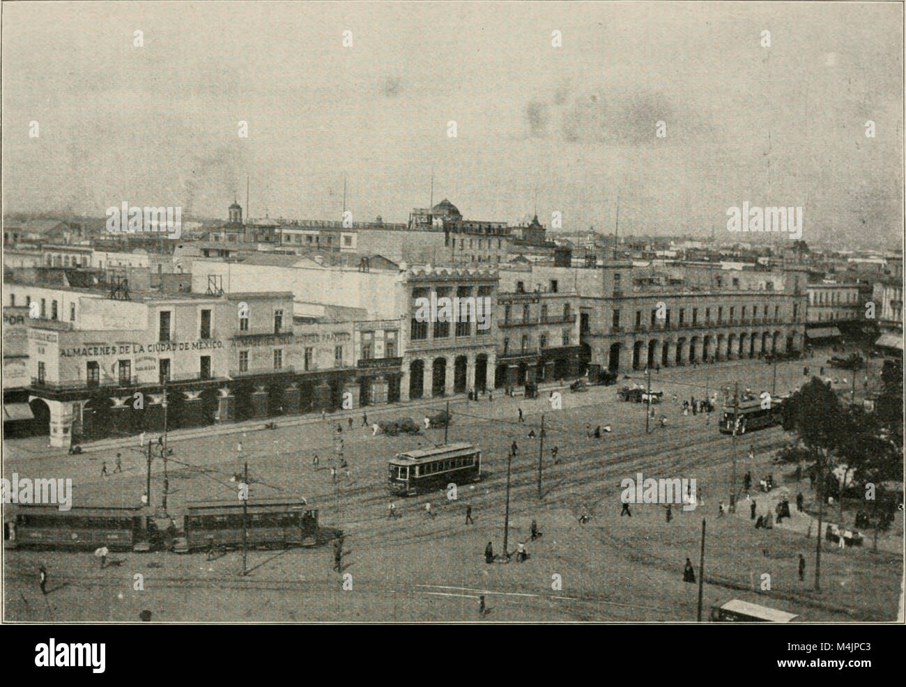 Arboriculture is the science and practice of cultivating and managing ...