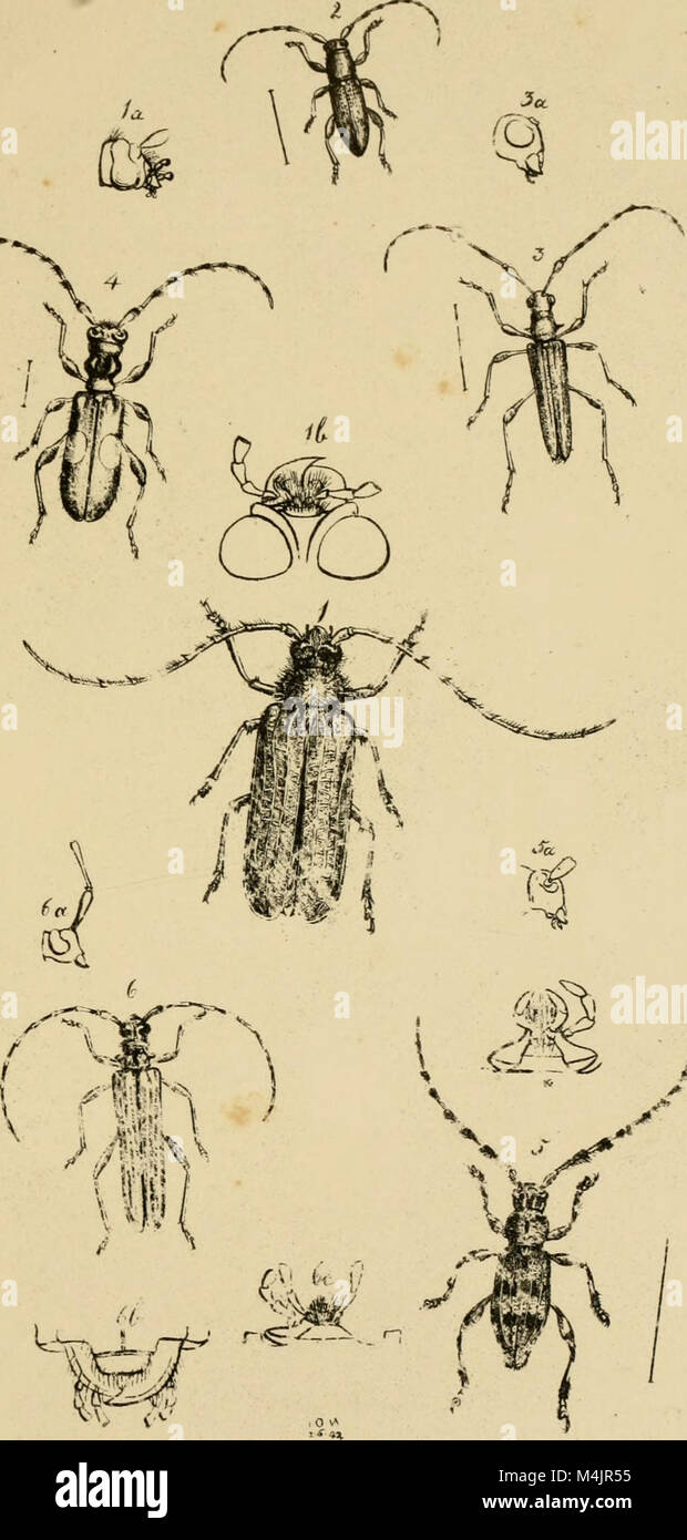 This 1845 work provides detailed illustrations and descriptions of rare ...