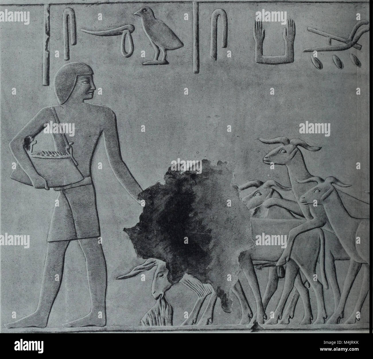 This 1893 archaeological survey focuses on Egypt, documenting key ...