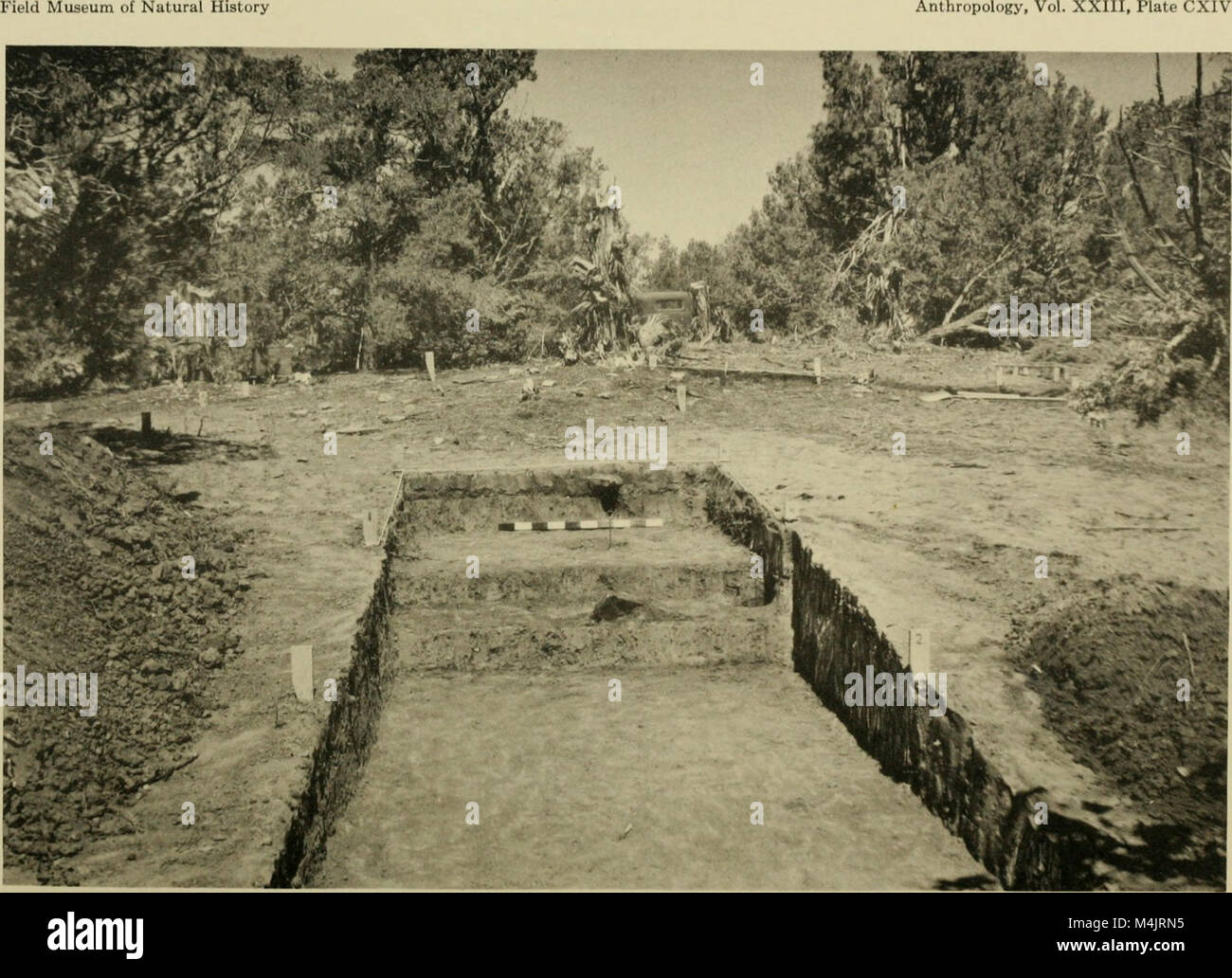 This 1937 archaeological report details excavations and findings in the ...