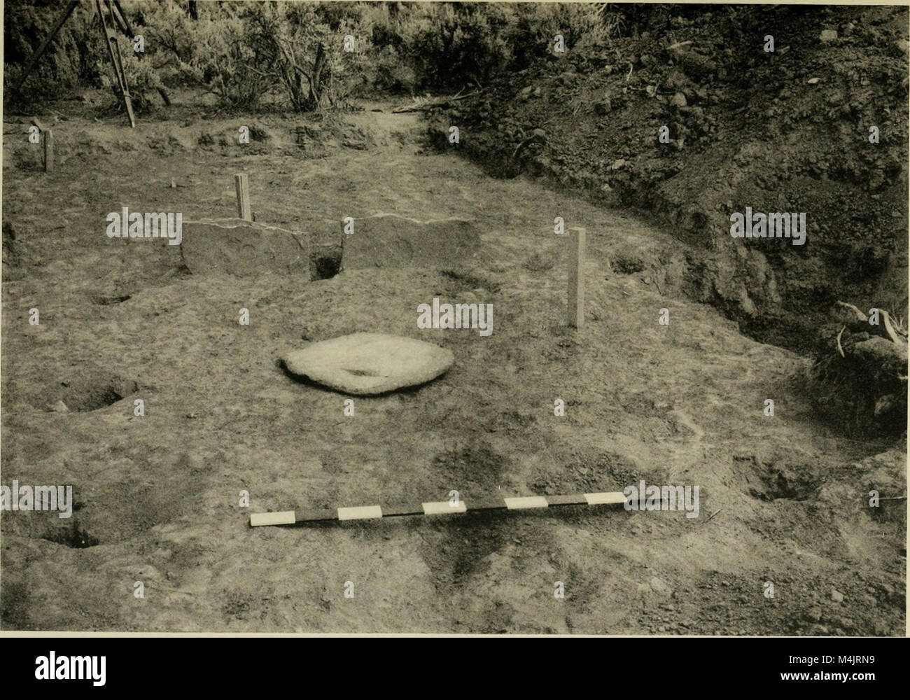 This 1937 archaeological report details excavations and findings from ...