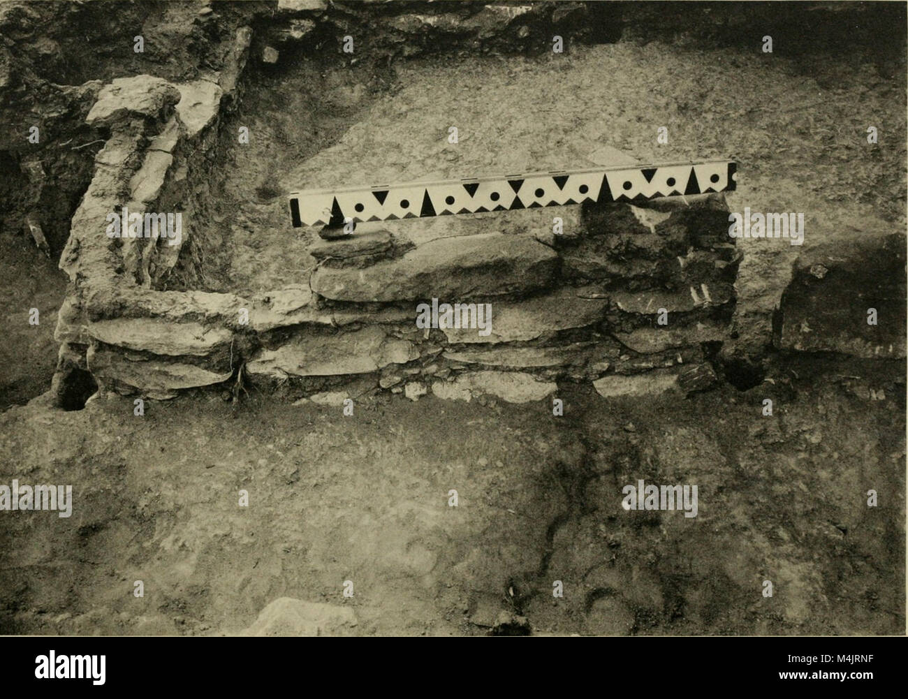 Archaeological work in the Ackmen-Lowry area, southwestern Colorado ...