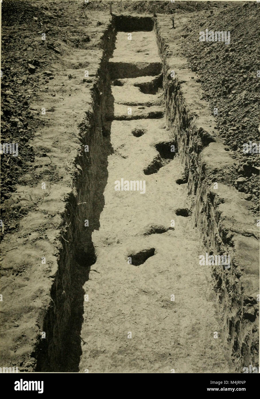 This 1937 study details archaeological excavations in the Ackmen-Lowry ...