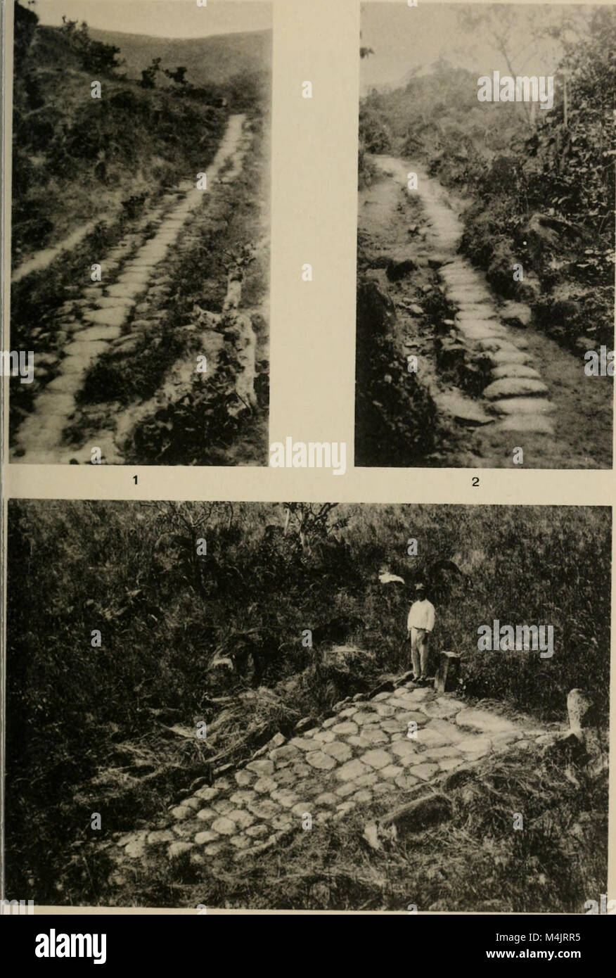 The 1931 archaeological study on the Tairona culture in Santa Marta ...