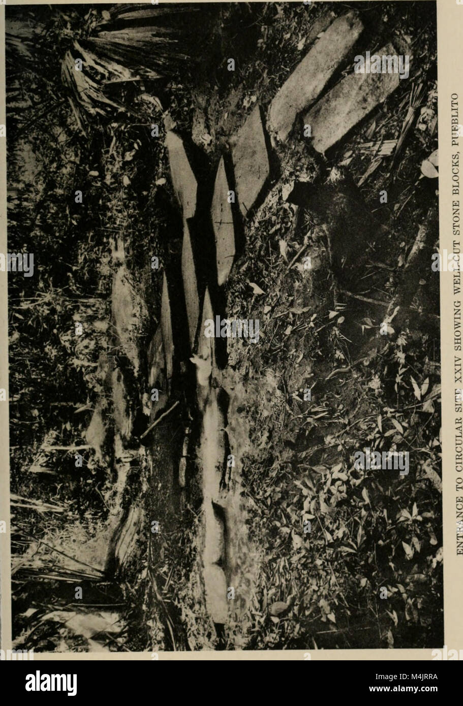 The 1931 work on the archaeology of Santa Marta, Colombia, explores the ...