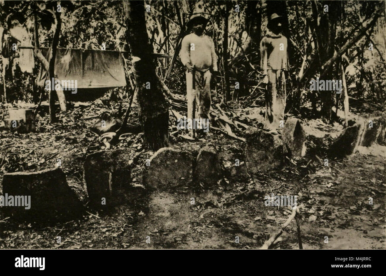 The *Archaeology of Santa Marta, Colombia* (1931) investigates the ...