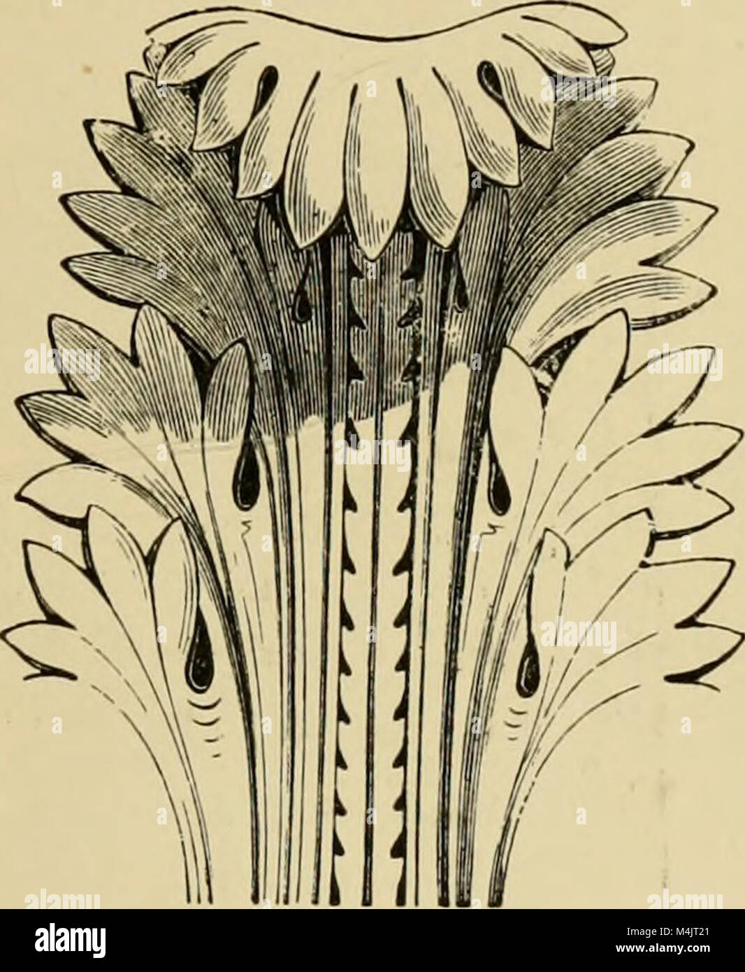 This 1888 work examines classic and early Christian architecture ...