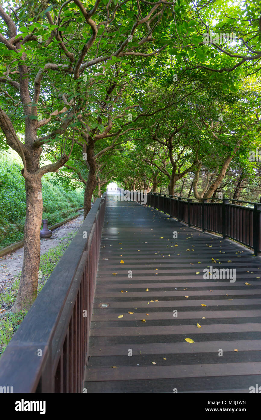 wooden pathway in park Stock Photo - Alamy