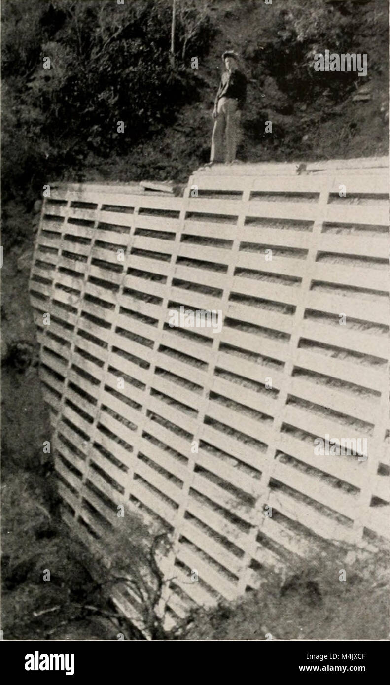 *Architect and Engineer* (1933) is a professional publication that ...