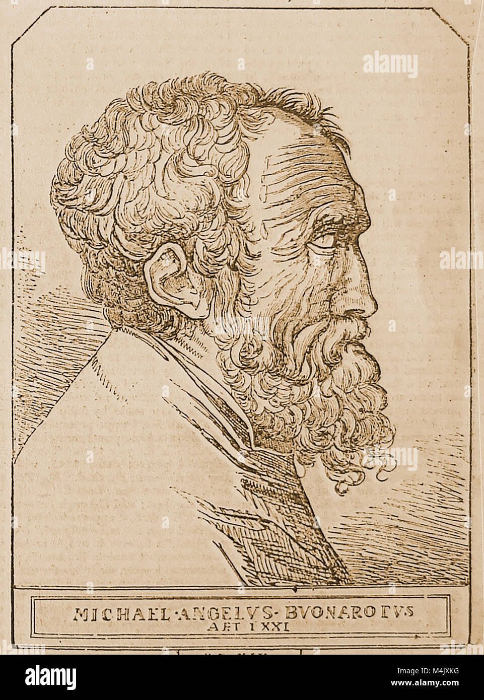 Michelangelo Drawing Of Lines