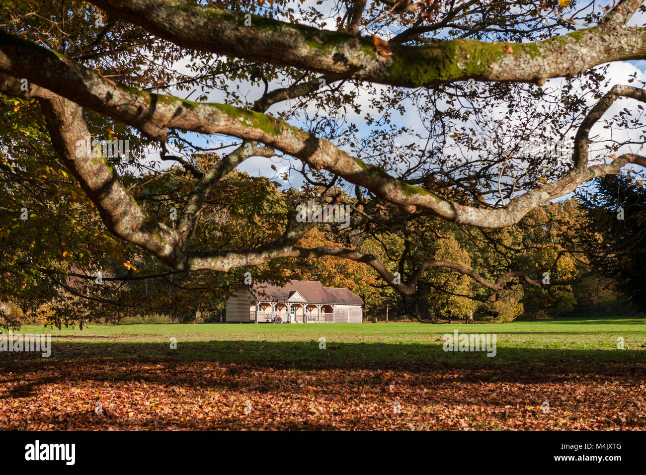 The cricket pitch and pavilion, Sheffield Park, Uckfield, East Sussex ...