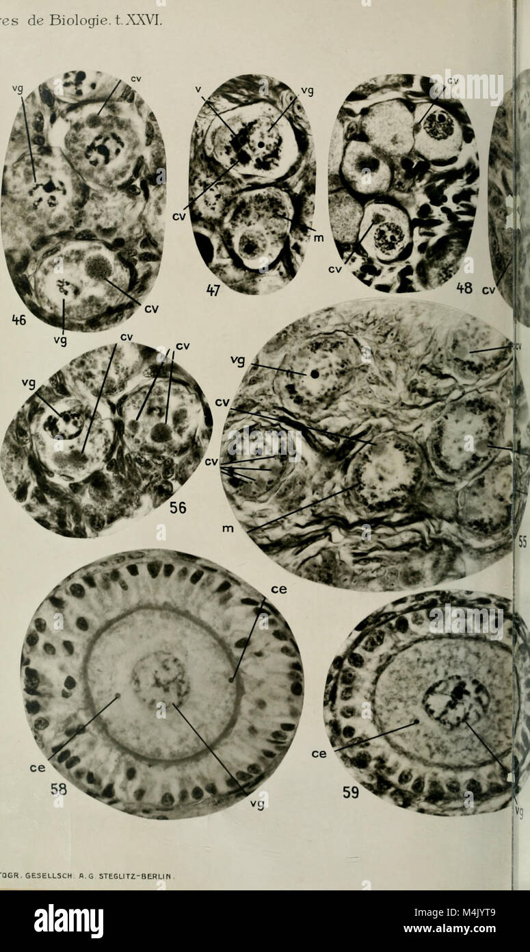 The Archives de Biologie, published in 1880, is a scientific journal ...