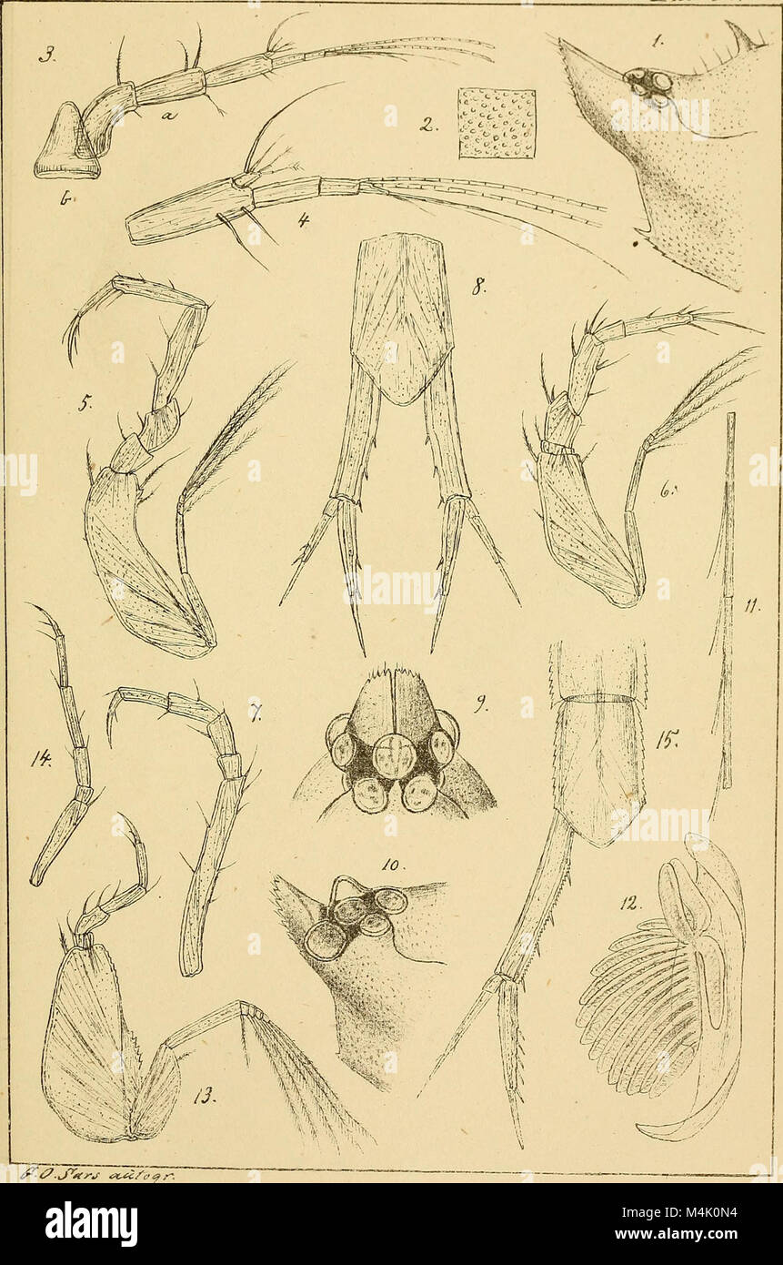 The 1879 'Archiv for Mathematik og Naturvidenskab' is a scientific ...