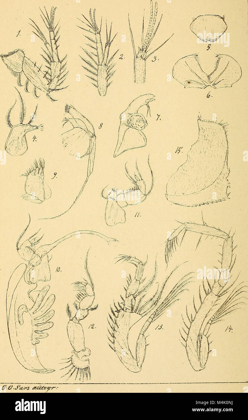 The 1879 edition of 'Archiv for Mathematik og Naturvidenskab' presents ...