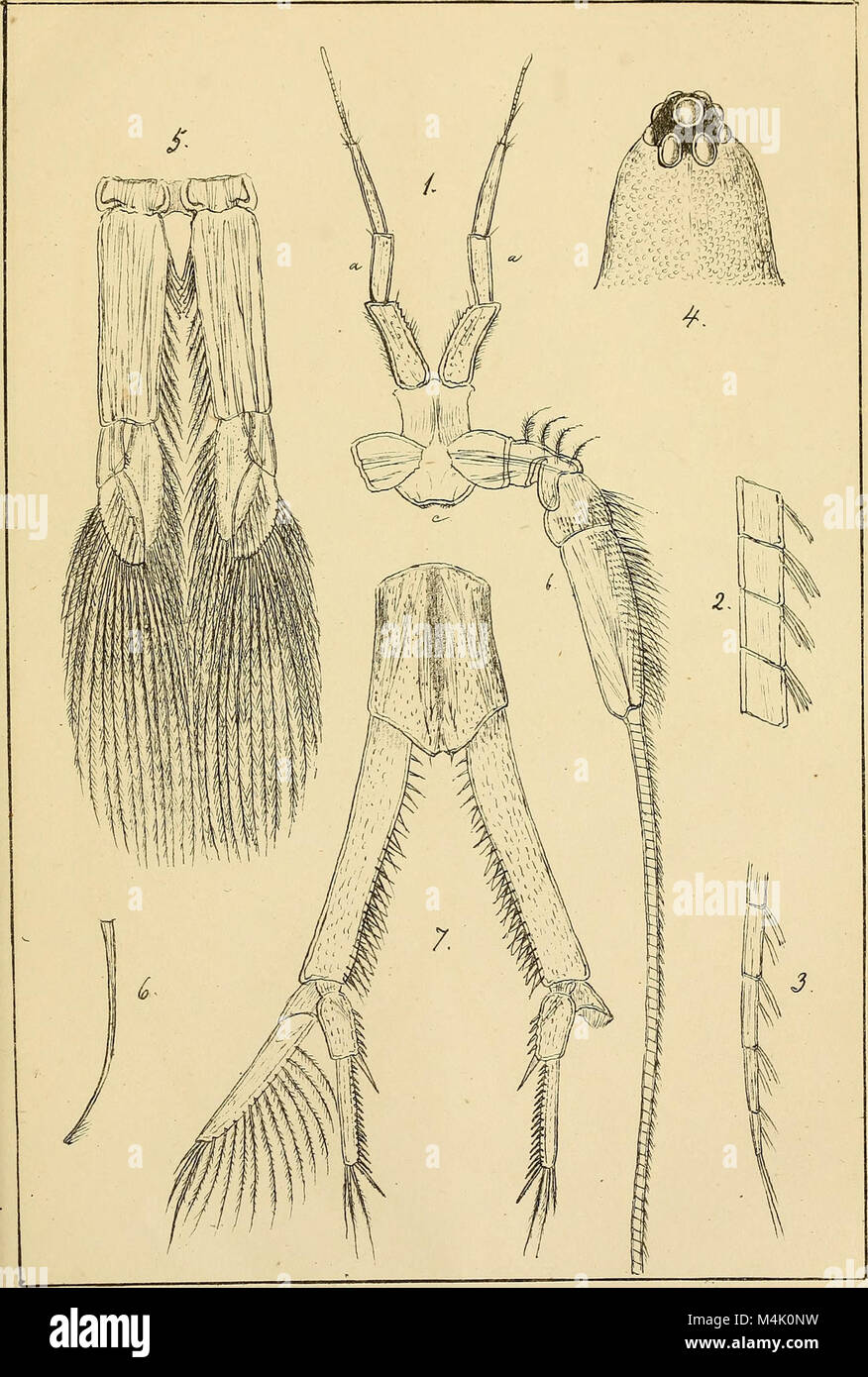 This 1879 publication, 'Archiv for Mathematik og Naturvidenskab', is a ...