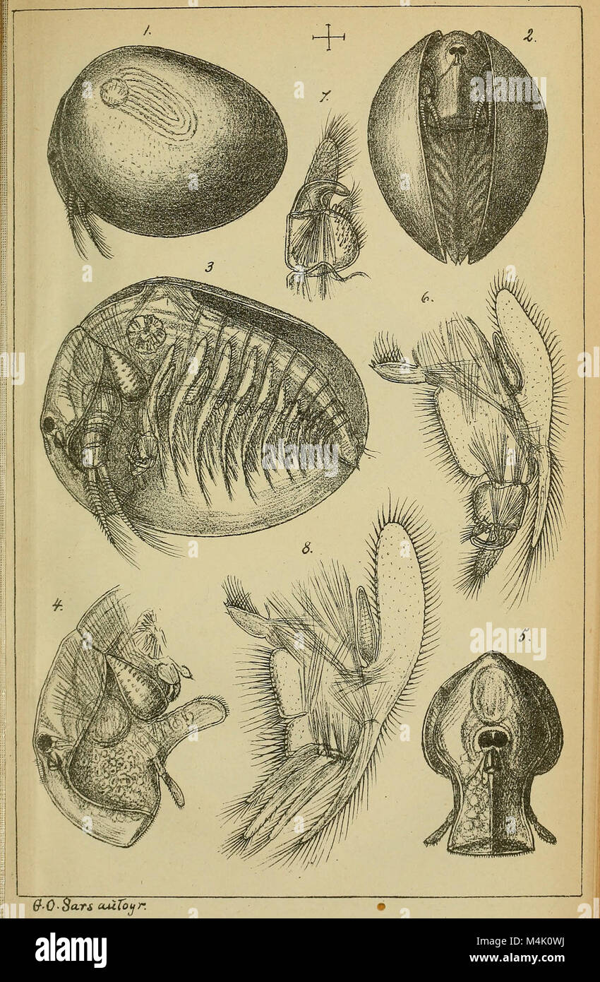 This 1895 archive is a scientific journal focusing on mathematics and ...